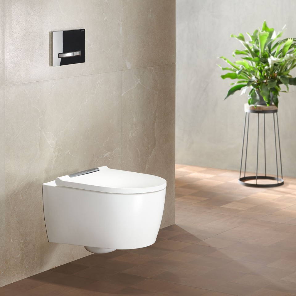 WC et abattants de toilettes | Geberit.fr